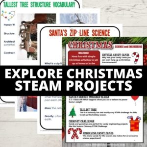 Christmas Project Pack - Ultimate Slime Guide