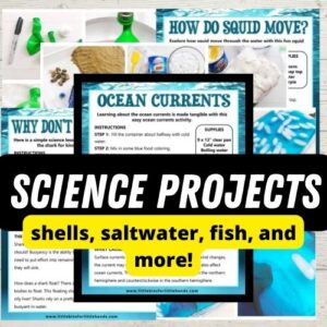Ocean STEM Projects Pack for Kids - Ultimate Slime Guide